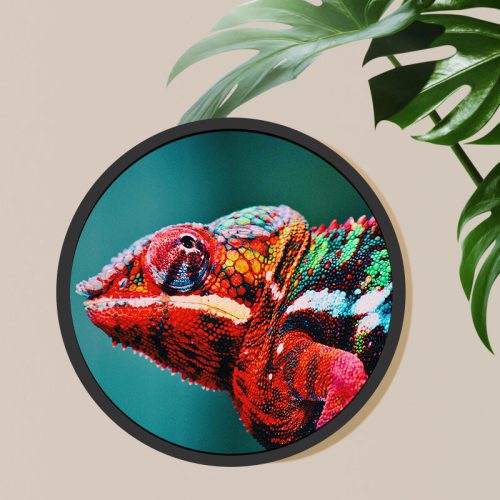 Round Lcd Display - Custom Lcd Display